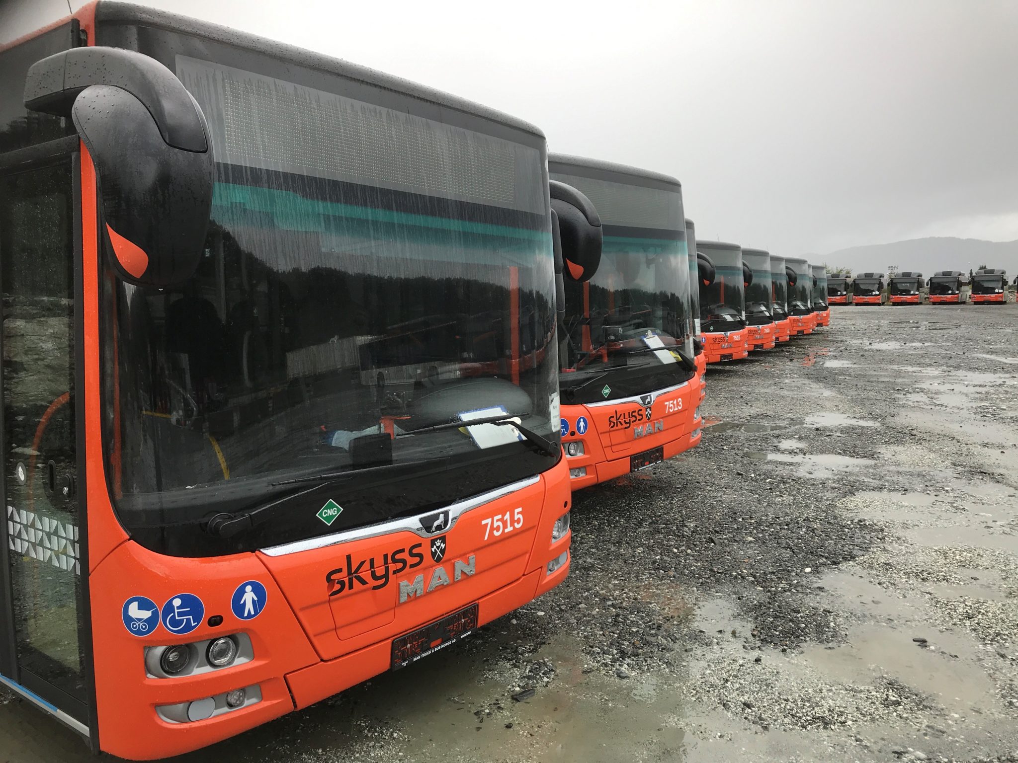 MAN: 125 Biogas-Busse für Tide Buss AS – Bustreff.de – Busmagazin